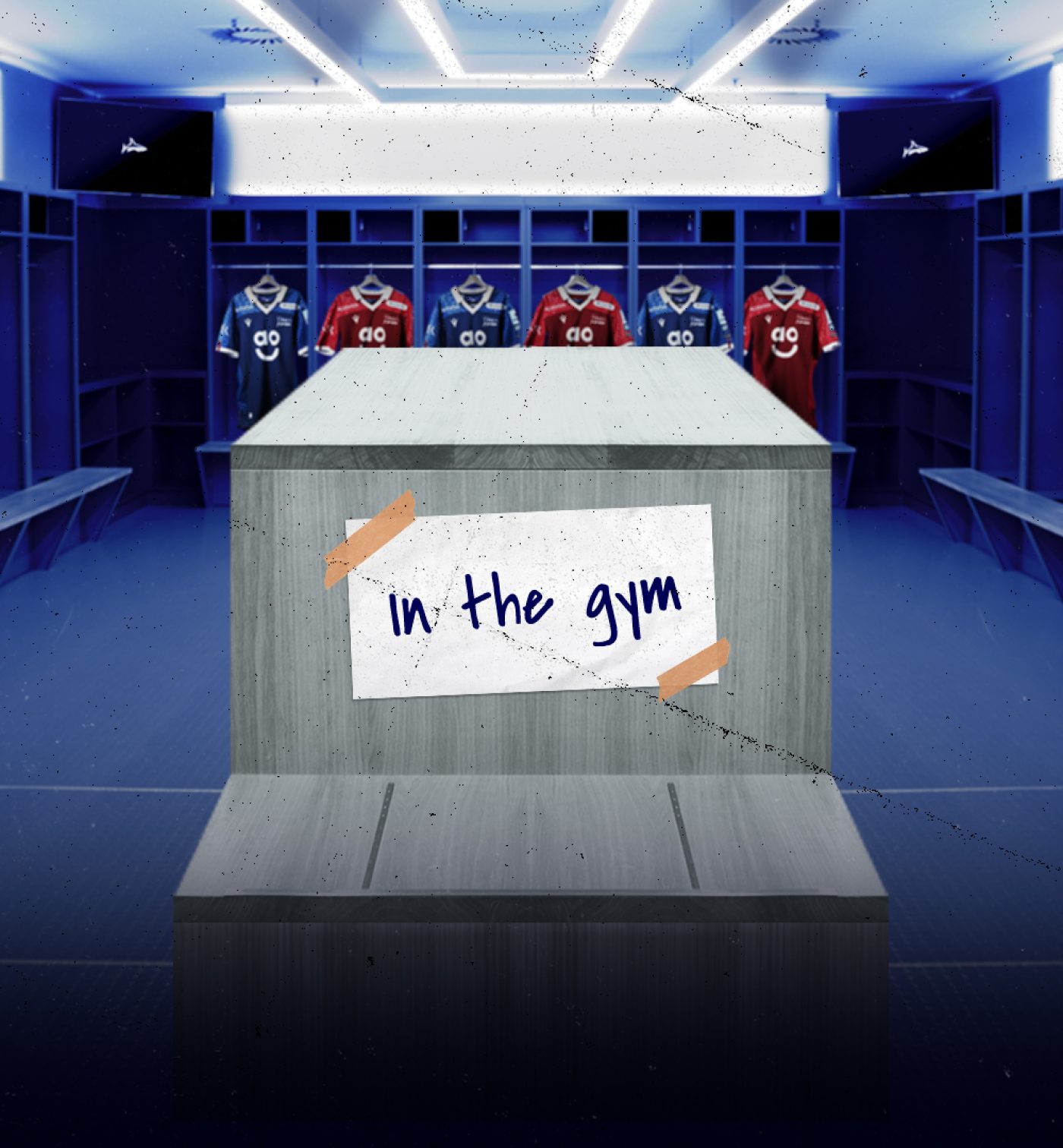 Bevan Rodd | Sale Sharks