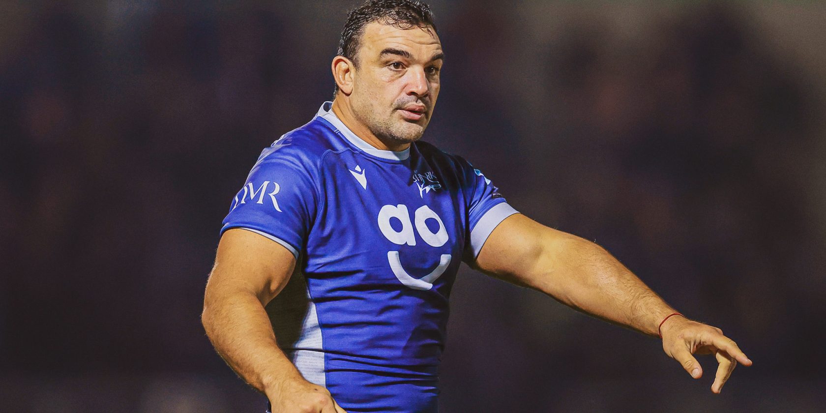 Home | Sale Sharks