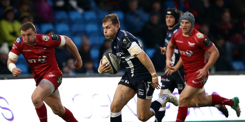 Home | Sale Sharks