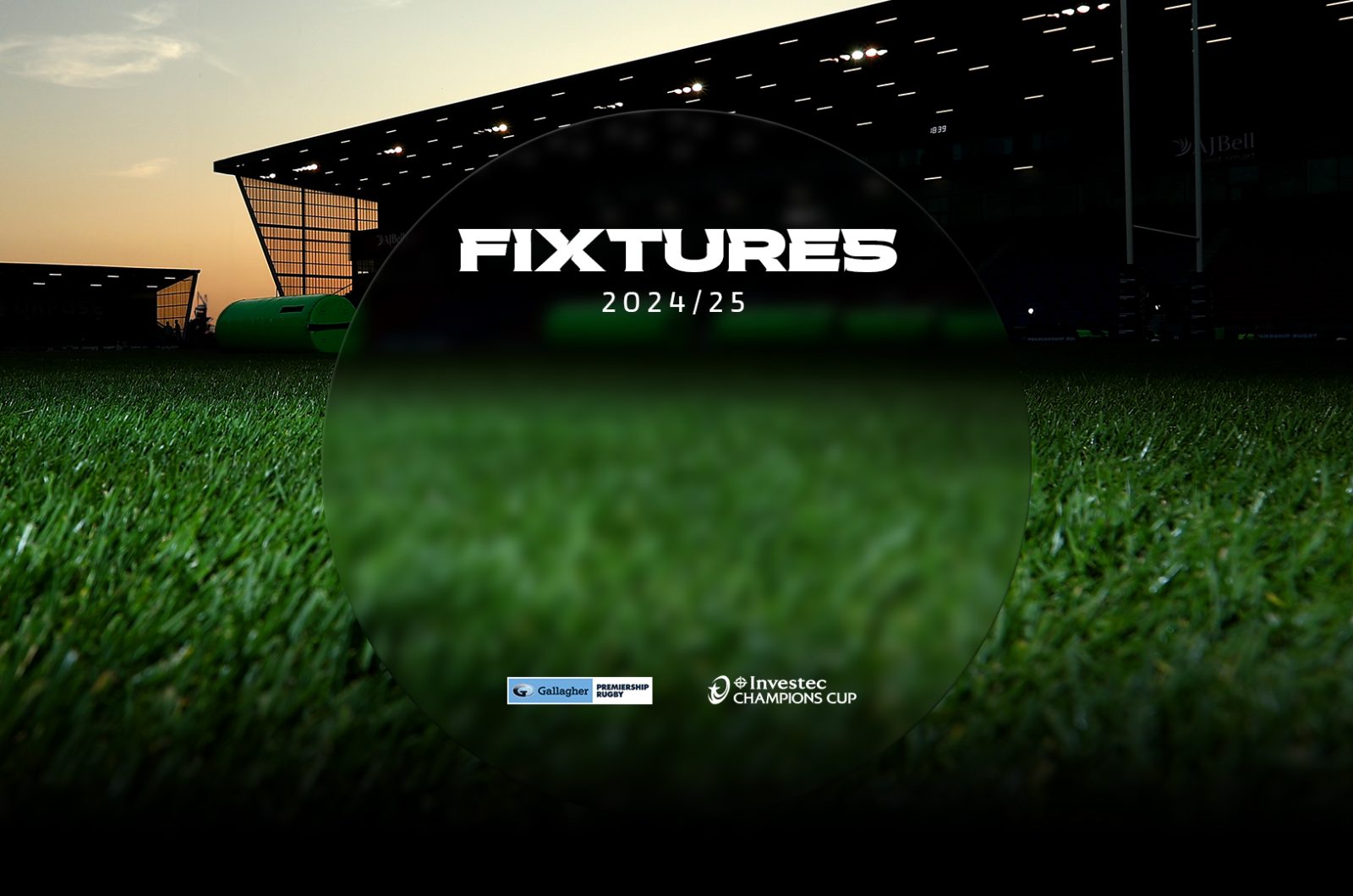 Home | Sale Sharks