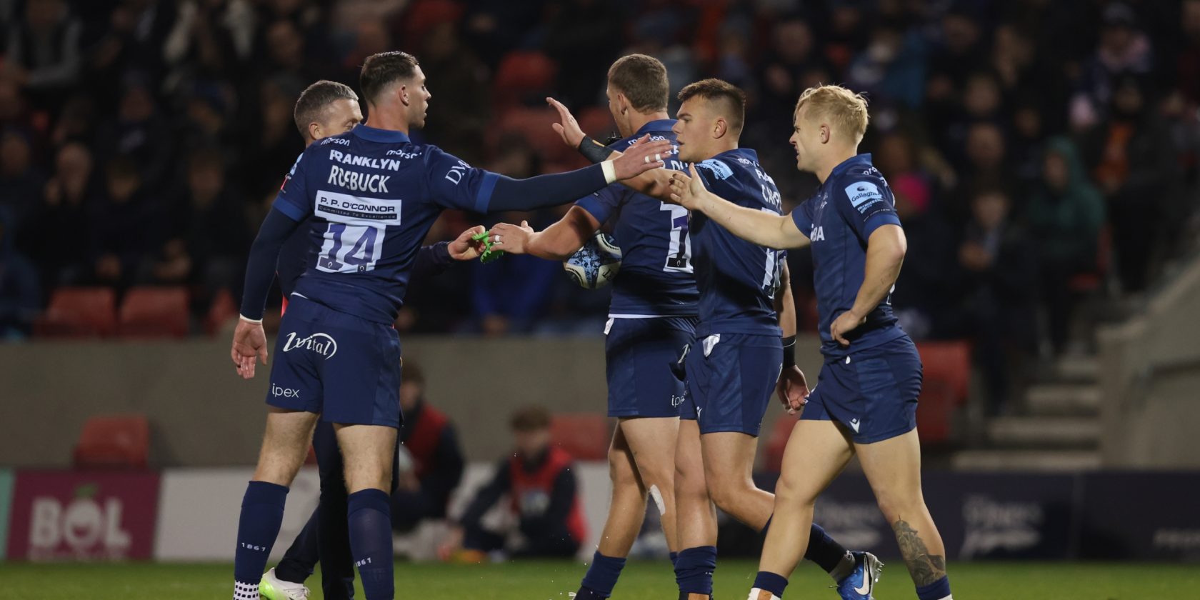 Home | Sale Sharks