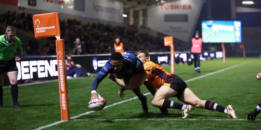Home | Sale Sharks