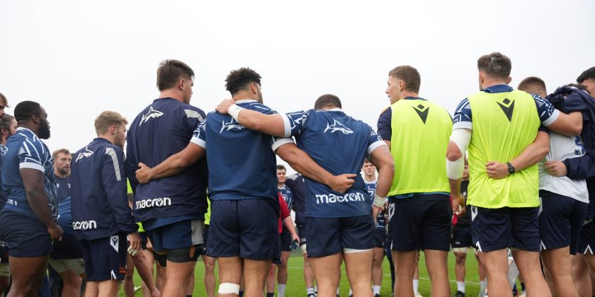 Home | Sale Sharks