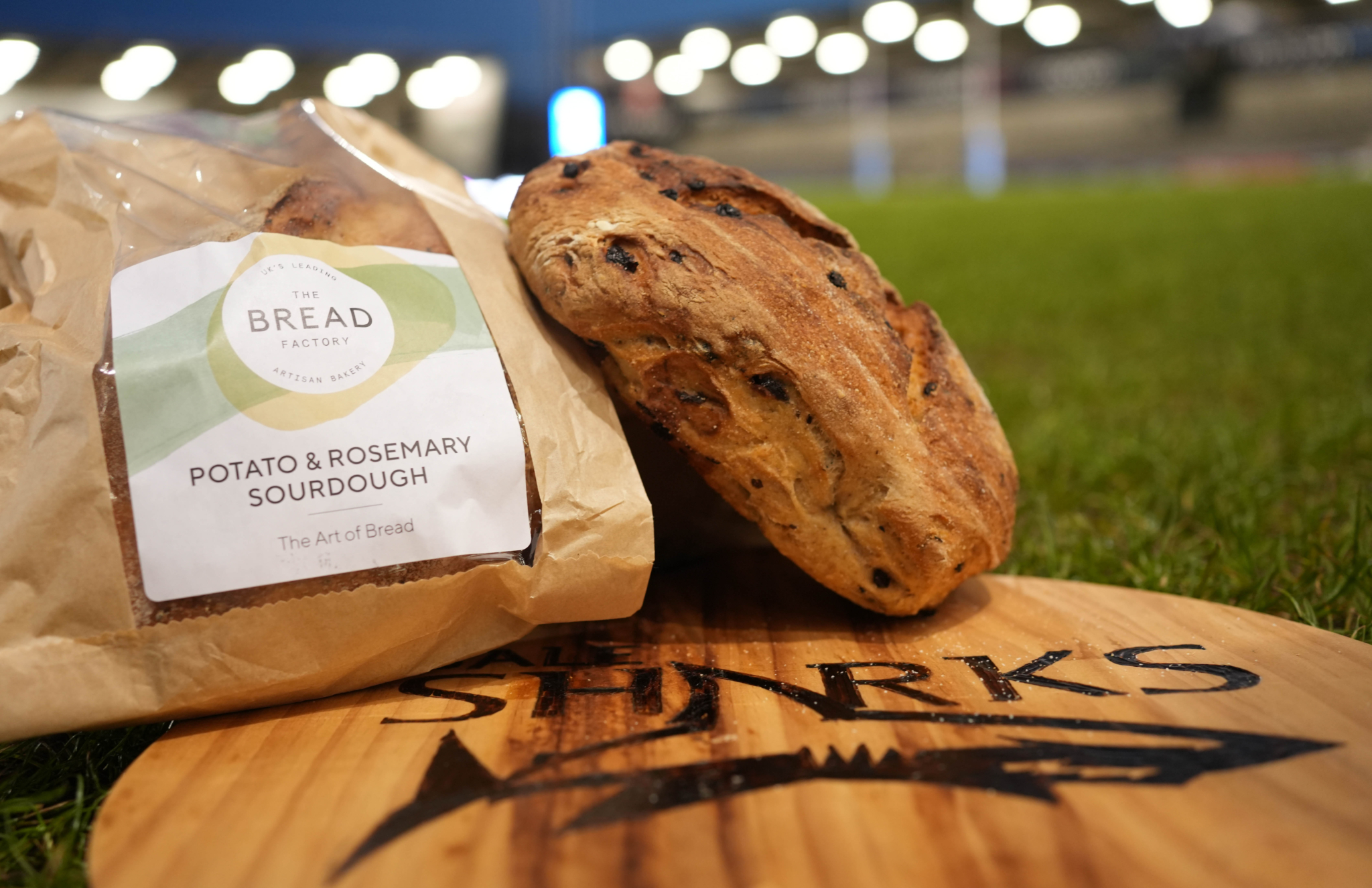 Sharks Women agree Bread Factory deal | Sale Sharks